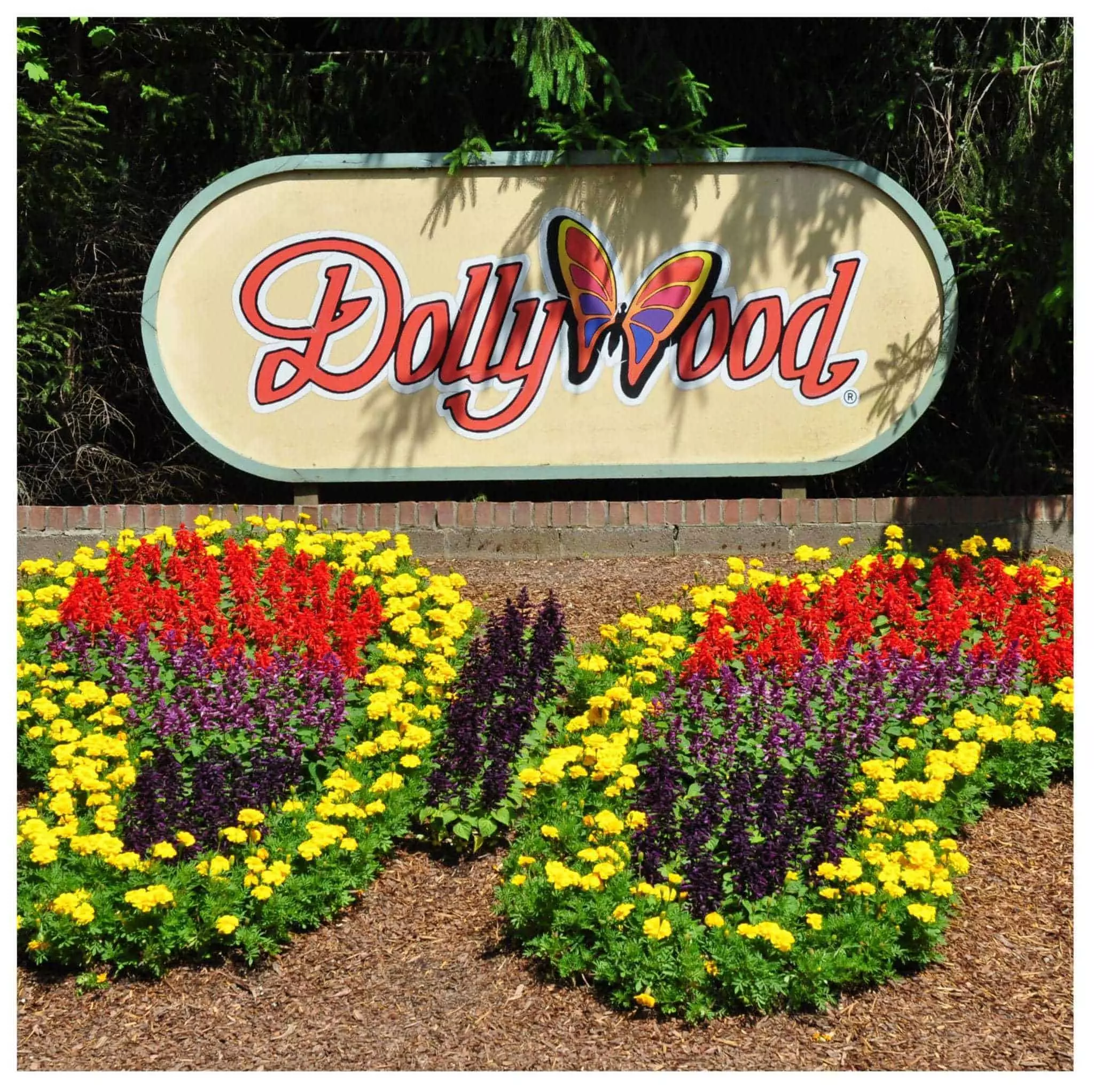 Pop Artist Makes ‘Unexpected’ Visit to Dollywood in Pigeon Forge