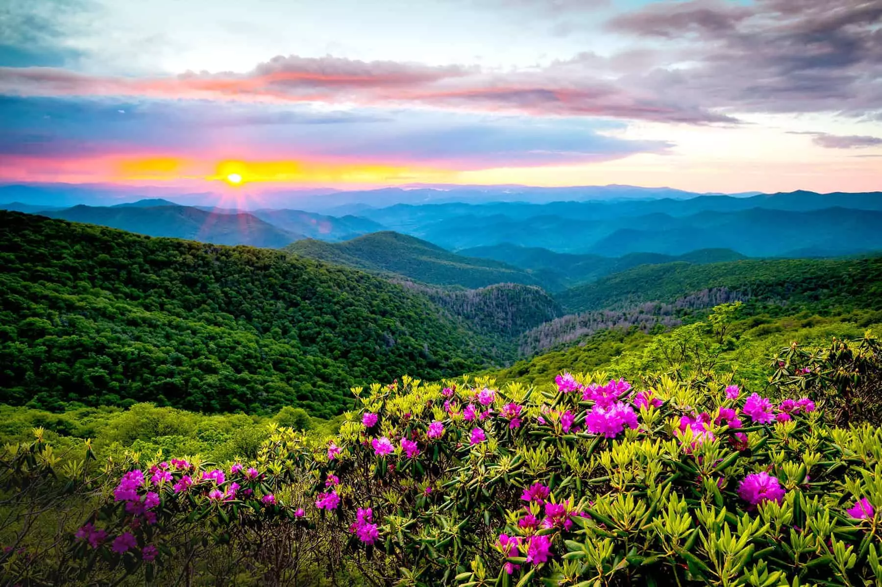 Your Spring Smoky Mountain Vacation Itinerary