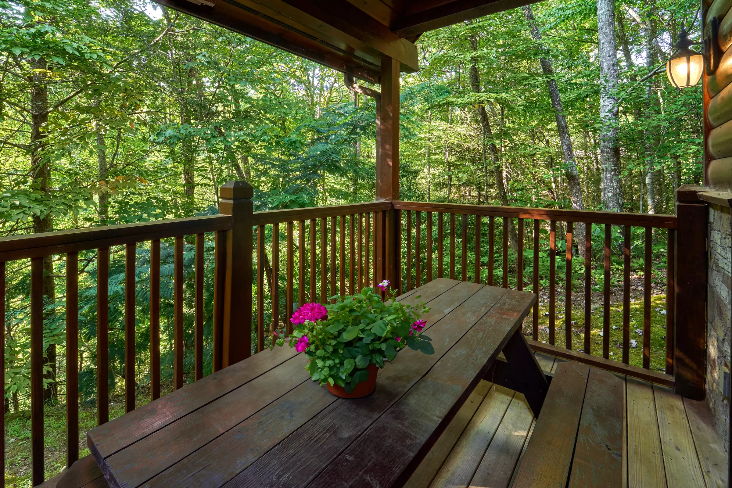 Firefly Lodge - 3 bedroom Cabin / Bungalow in Gatlinburg - Elk Springs ...
