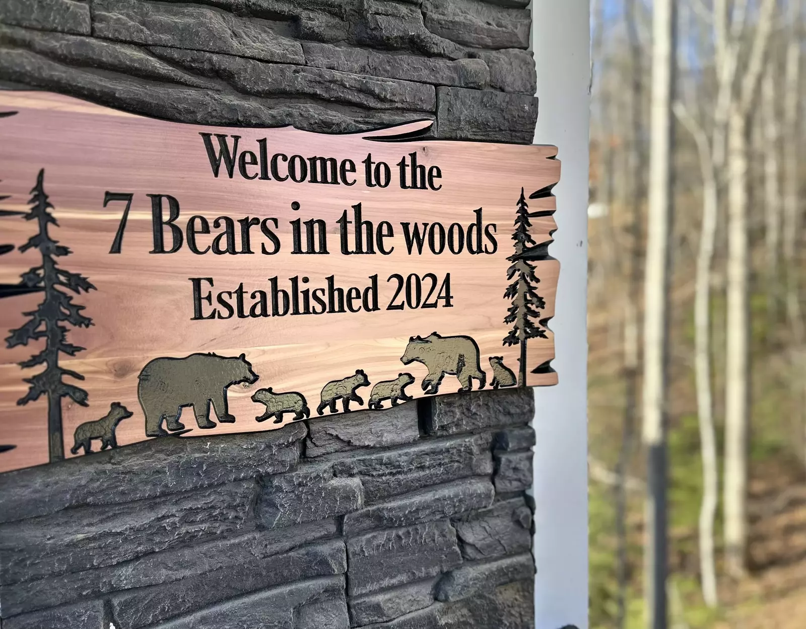 Seven bears in the Woods - 2 bedroom Cabins in Sevierville - Bricar, LLC